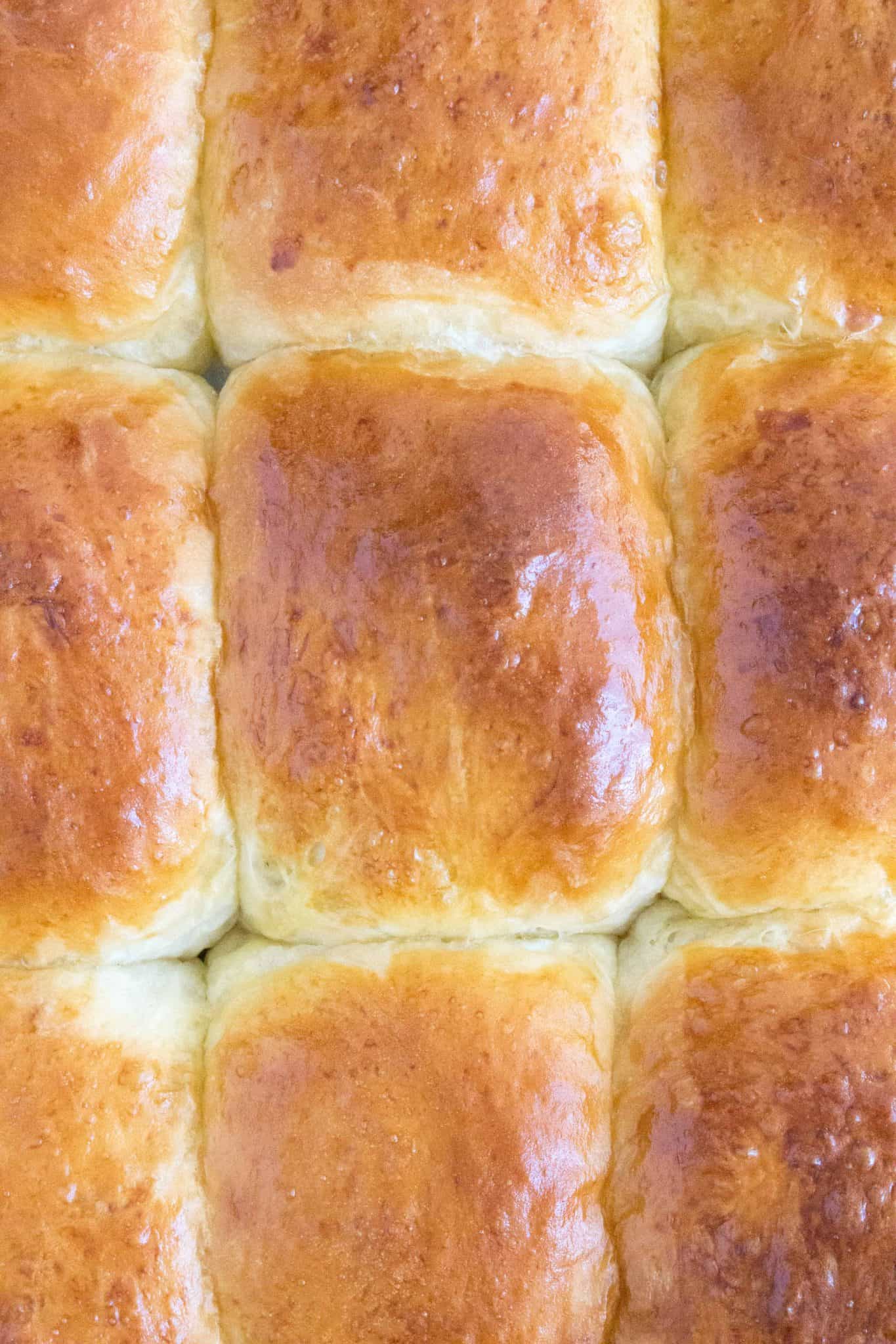 Japanese Milk Bread Rolls (Hokkaido rolls) - Carmy - Easy Healthy-ish ...