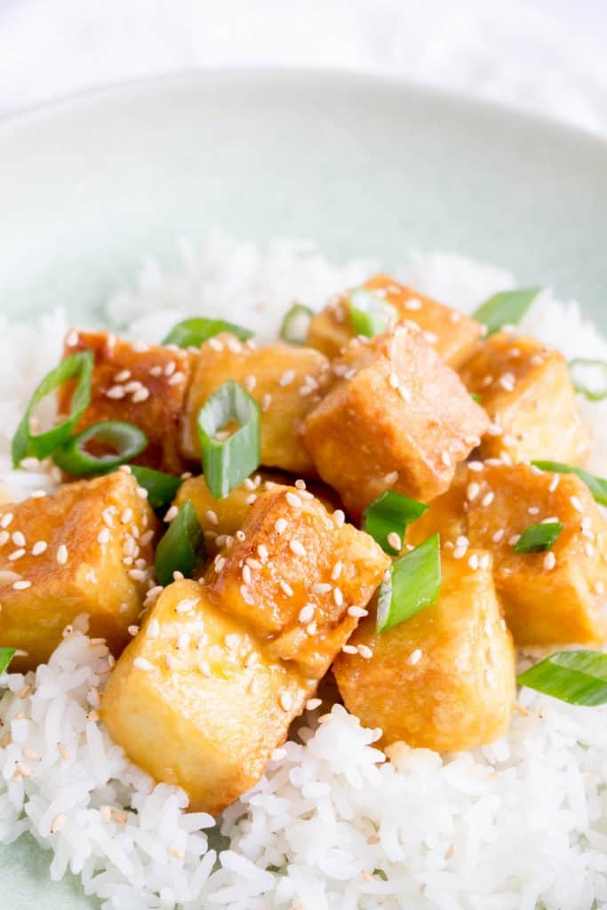 Easy Crispy Orange Tofu | Plant-Based Orange Chicken