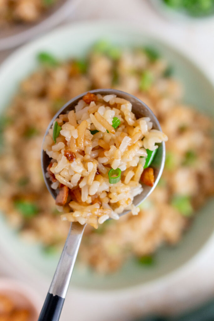 Garlic Fried Rice - Carmy - Easy Healthy-ish Recipes