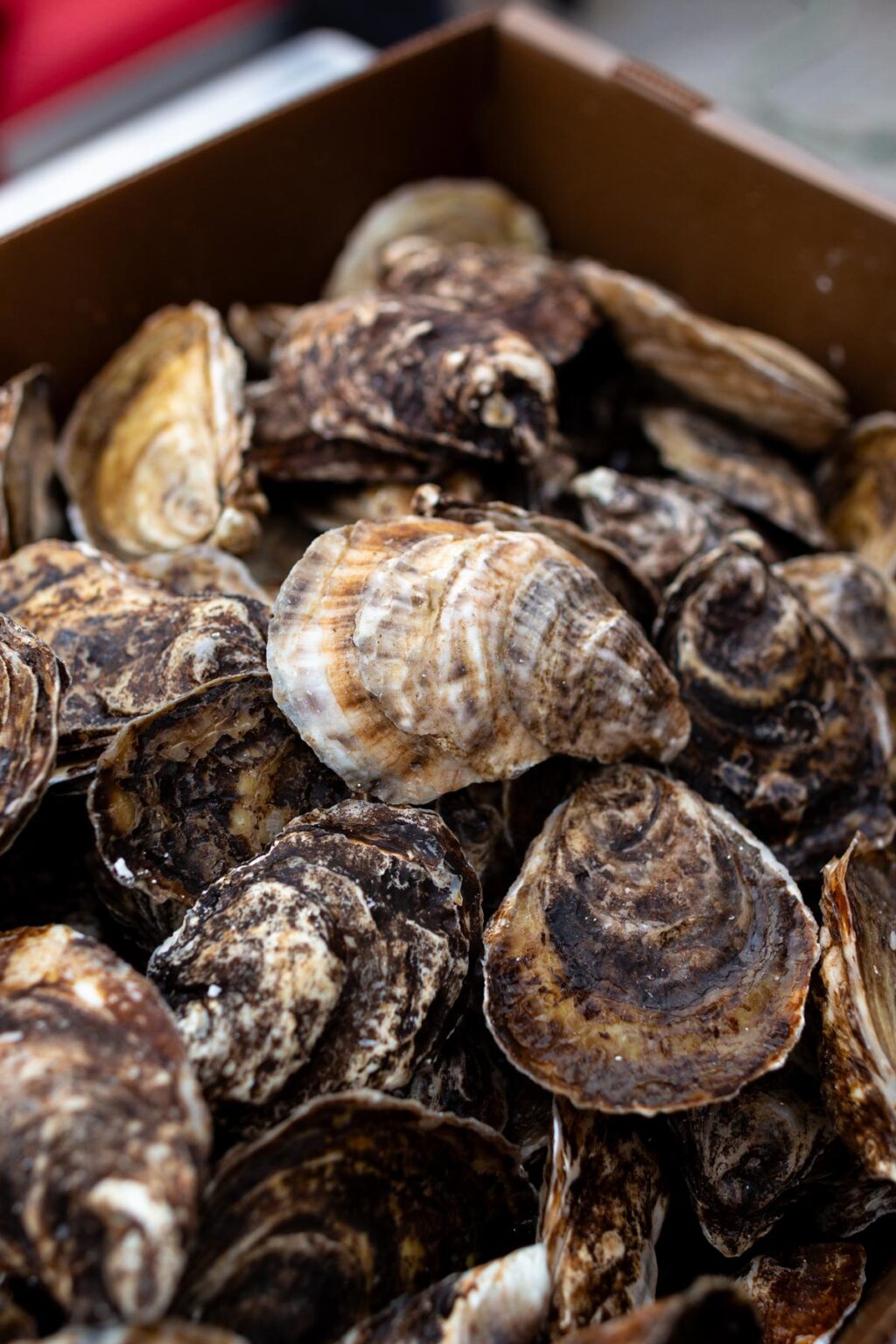 How to Shuck an Oyster - Carmy - Easy Healthy-ish Recipes