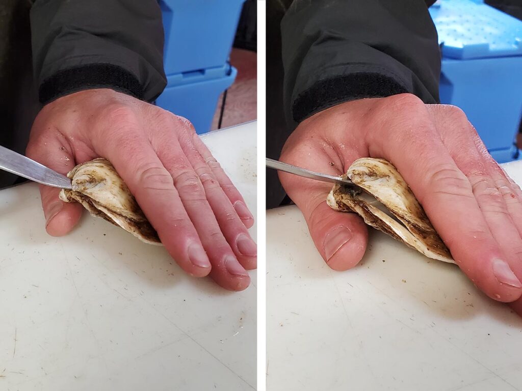 How to Shuck an Oyster - Carmy - Easy Healthy-ish Recipes