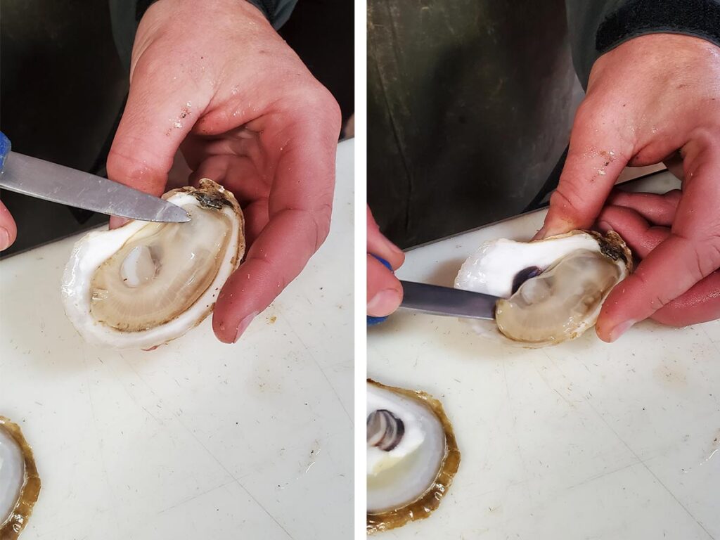 How to Shuck an Oyster - Carmy - Easy Healthy-ish Recipes